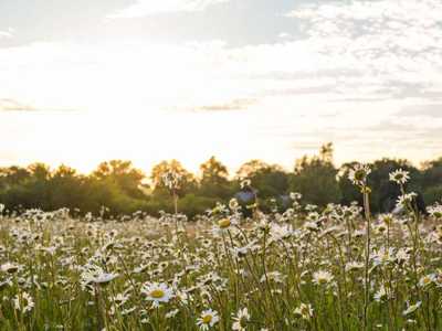 Retreat East - What To Expect During Stay At A Retreat | Blog | UK Retreat